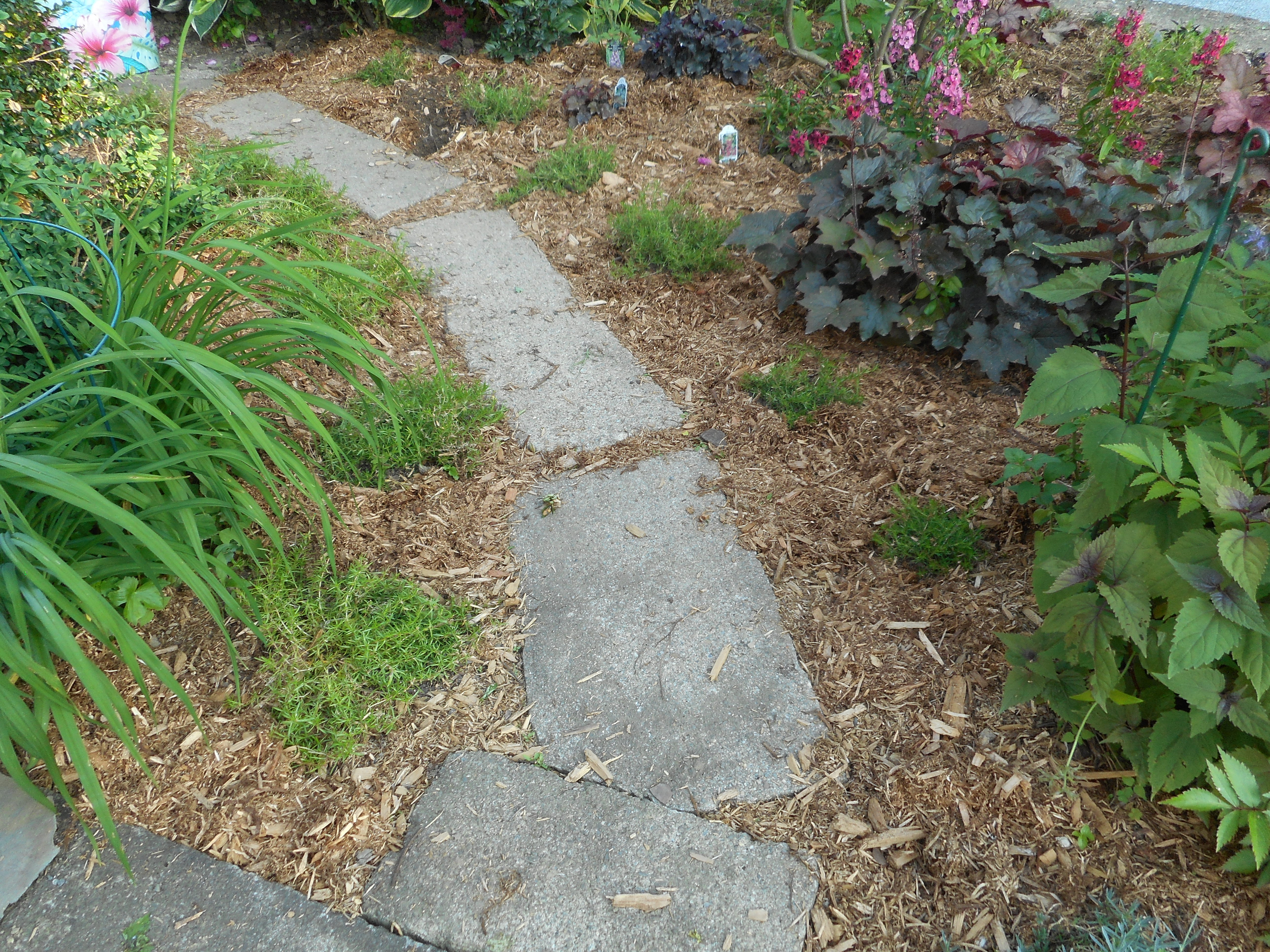 Got Mulch? | Pen, Paper, Plant